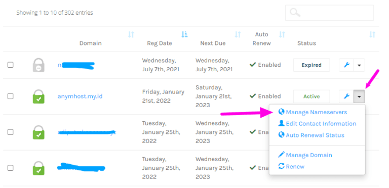 Cara Mengubah Nameserver Domain - AnymHost