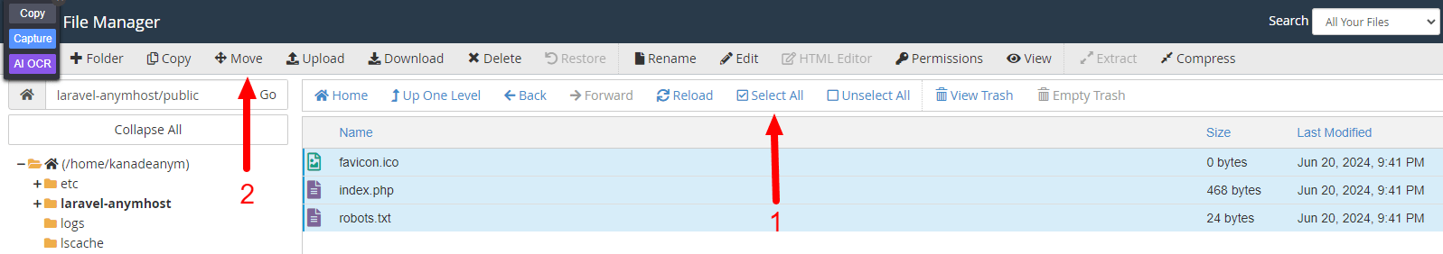 Cara Upload Project Laravel Pada Hosting Cpanel Anymhost